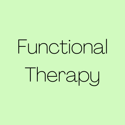 courtney b slp – the FUNctional slp